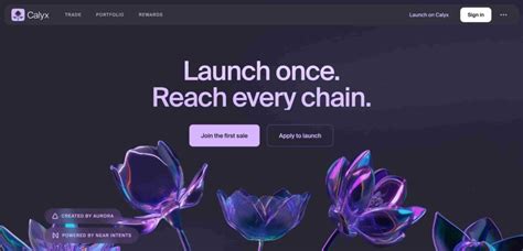 Calyx Review 2026 Cross Chain Launchpad Powered By Near Intents