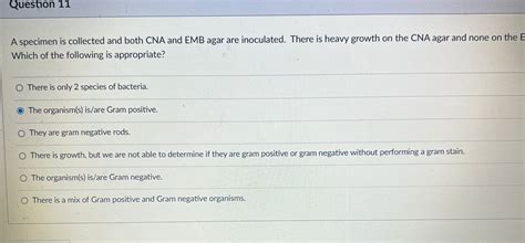 Solved Question 11a Specimen Is Collected And Both Cna And