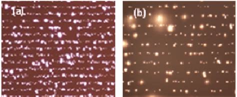 Particle Pattern Obtained On The Surface Of Linbo3 Plates After Download Scientific Diagram