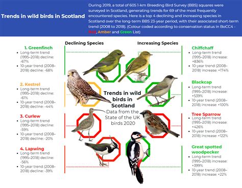 The Scottish Wildlife Then And Now