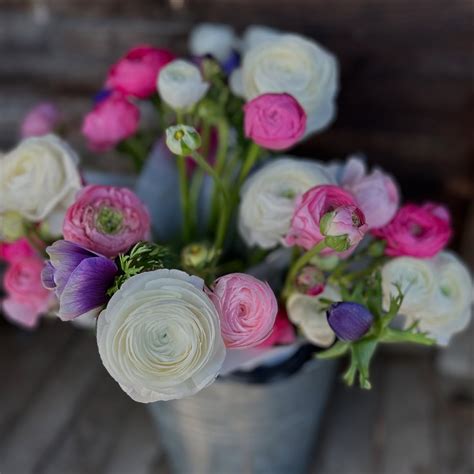 Kelley Bowmansharon Kelley Kelleyflowerfarm • Instagram Photos And