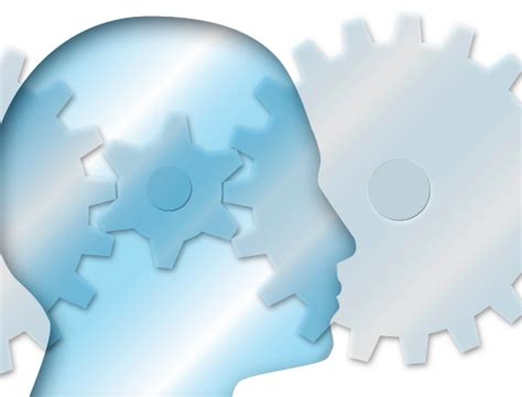 Similarities Between Cognition And Metacognition