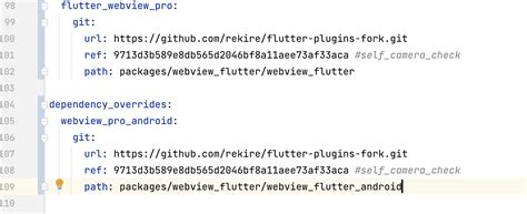Webview Allow Camera Access Is Not Working Issue 132 Rekire
