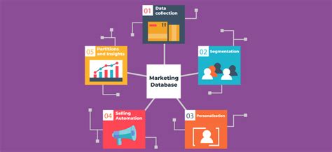 What Is Database Marketing Reacheffect