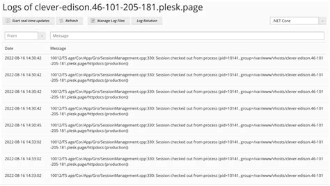 Net Application Hosting In Plesk Plesk