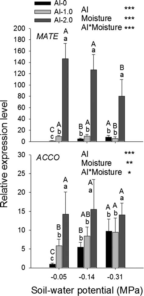 Mate And Acco Gene Expression In The 1 Cm Root Tips Of The Common Bean Download Scientific