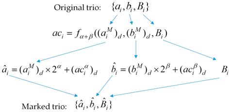 Generation And Embedment Of Acs Download High Resolution Scientific Diagram