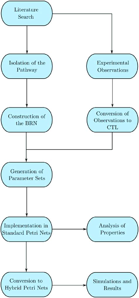 Work Flow Diagram Presenting The Structure And Organisation Of The Download Scientific Diagram