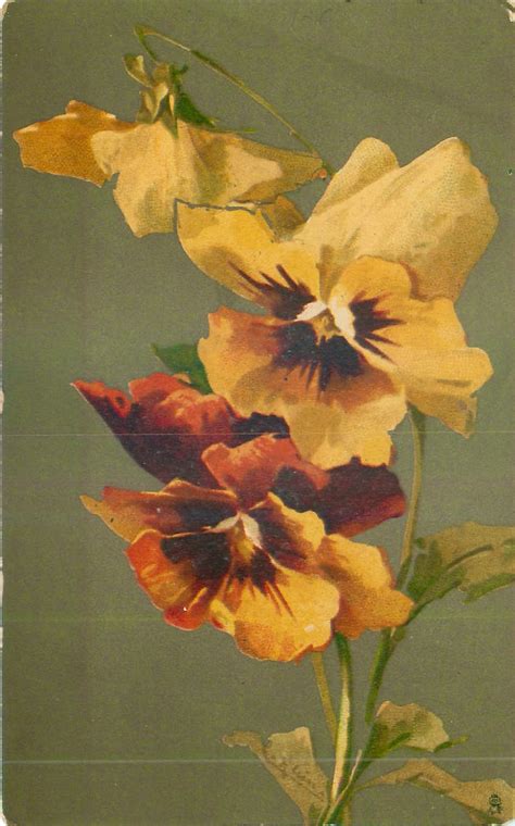 Catherine Klein Vintage Art Tuttart