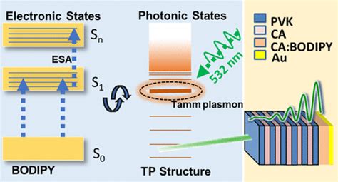 Coupling Of The Tamm Plasmon To The Bodipy Fluorophore In Photonic Crystals For Nonlinear