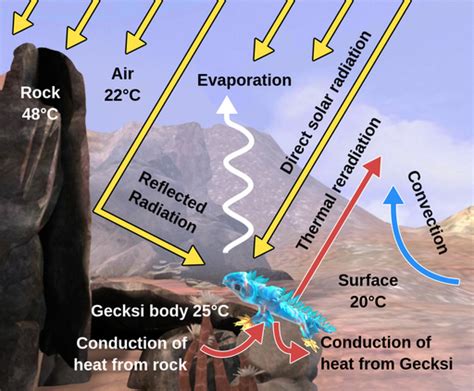 Operative Temperature Labster