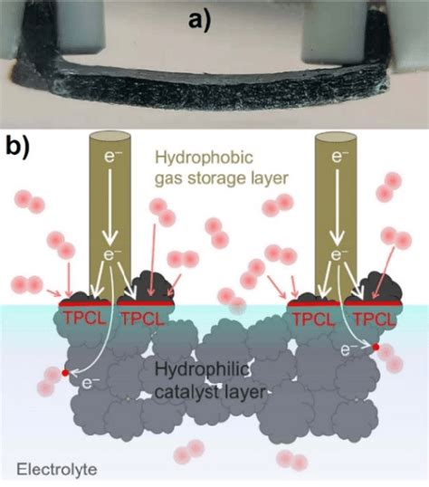 A Side View Picture Of The Janus Electrode Reprinted And Adapted From Download Scientific