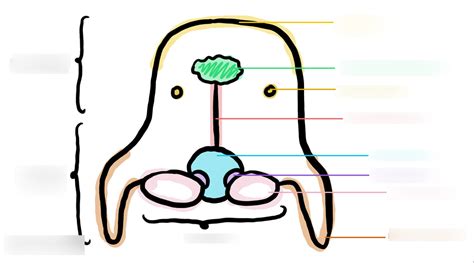 A1 Part 1 Diagram Quizlet