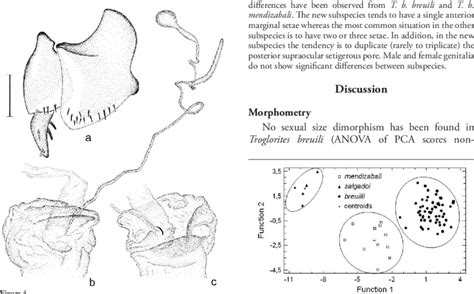 Discriminant Functions Graphs Cases Individuals Were Plotted On The Download Scientific