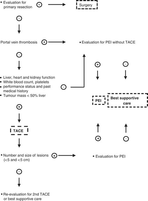 Treatment Algorithm For Patients With Hcc Download Scientific Diagram