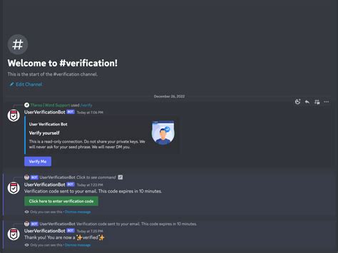 Discord Verification User Verification Bot Upwork