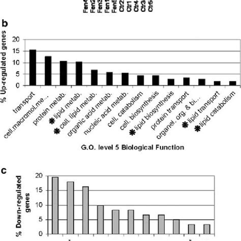 A Hierarchical Clustering Of The Global Gene Expression Profiles In Download Scientific