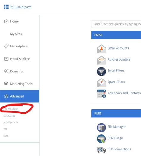 how to fix ads txt in wordpress