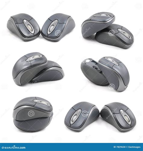 Sex Mouse Stock Photo Image Of Front Equipment Internet