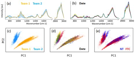 Raman Data After Denoising 7 Th Order Polyfit Baseline Correction And