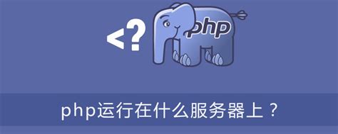 Php运行在什么服务器上？ Php问题 Php中文网