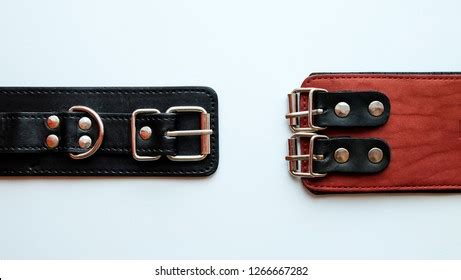 Sex Attribute Images Stock Photos D Objects Vectors Shutterstock