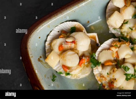 Scallops In Shell Hi Res Stock Photography And Images Alamy