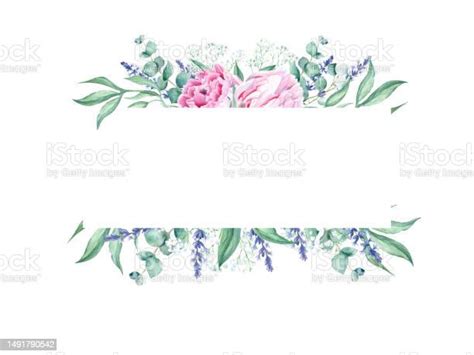 수채화 Horisontal 프레임 핑크 모란 유칼립투스 Gypsophila 및 라벤더 가지 손으로 그린 식물 그림은 흰색 배경에 분리되어 있다 개화기에 대한 스톡 벡터 아트