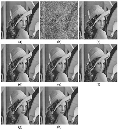 A Hybrid Decision Making Adaptive Median Filtering Algorithm With Dual Window Detection And Pso