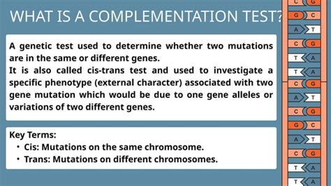 Seymour Benzers Experiment And Complementation Test Pptx Seymour Benzers Experiment And Complementation Test Pptx