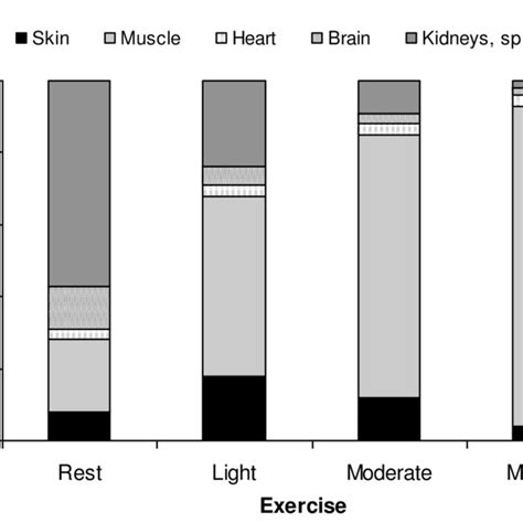 Schematic Illustrating The Distribution Of Cardiac Output During Rest Download Scientific