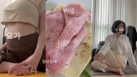 Vlog 25 27주 임산부 브이로그 요가 수련 더 열심히 해야지🧘🏻‍♀️ 임당검사와 입체초음파 함 유모차 하이체어 구매싸이벡스 레모 실버크로스 듄