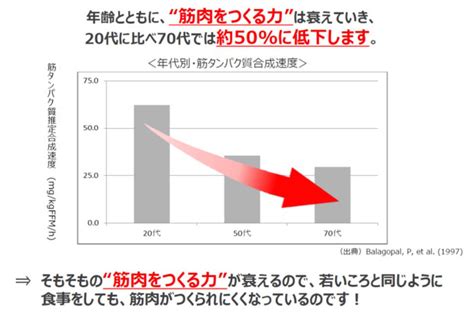 【プロのためのアミノ酸実践講座】 第2回 筋肉とアミノ酸～生きるための筋肉と強くなるための筋肉～ 2 筋肉づくりに必要なたんぱく質・アミノ酸 なにをどう摂るか セミナーレポート