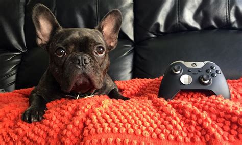 A Day With The Xbox Elite Controller Pc Gamer