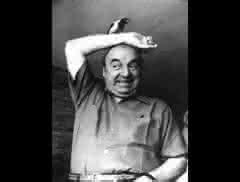 Oda Al Gato De Pablo Neruda Poema
