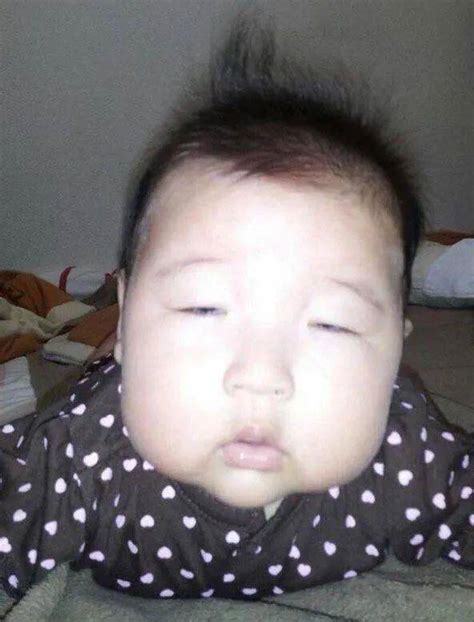 日本 丑娃”大赛， 丑”到怀疑人生 搜狐大视野 搜狐新闻