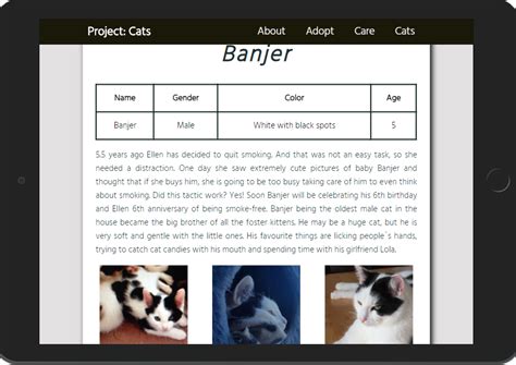 GitHub Ereja Project Cats Simple Webpage To Highlight Benefits Of Cat Adoption