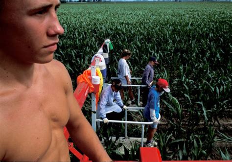 Detassling Crew Joel Sartore