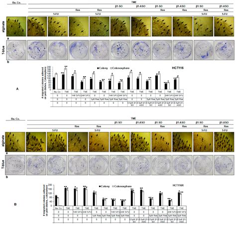 Tumor Microenvironment