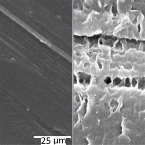 Sem Micrographs Of The Surface Of Non Treated Left And Treated