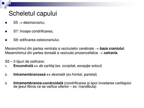 Ppt Dezvoltarea Capului şi Gâtului Powerpoint Presentation Free