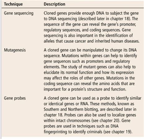 Genetics Chapter 14 Flashcards Quizlet Genetics Chapter 14 Flashcards Quizlet