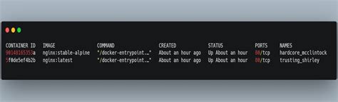 Domine O Docker 8 Comandos Essenciais Para Iniciantes