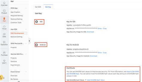Update To V Smart App SDK Tuya Developer