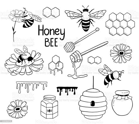 꿀벌 벌집 및 벌집이 흰색에 고립되어 있습니다 손으로 그린 윤곽선 스타일의 곤충 벡터 흑백 낙서 일러스트 레이 션의 컬렉션 꿀에 대한 스톡 벡터 아트 및 기타 이미지