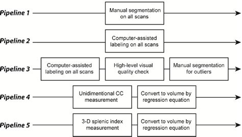 Figure 1 From Improving Spleen Volume Estimation Via Computer Assisted