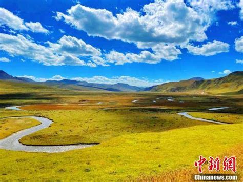 青海唯一蒙古族自治县：河曲草原秋日成金色世界发展畜牧业韩丽