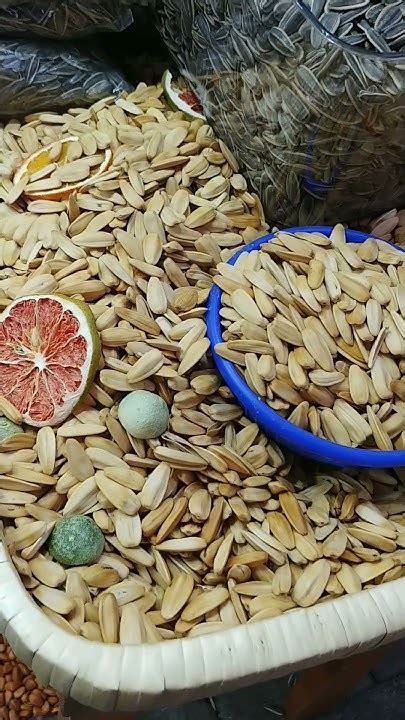 해바라기씨 보는데 중국말하셔서 쫌 당황 ㅎㅎ대림중앙시장 중국조선족분들이 때와 장소를 가리지않고 먹는 군것질거리 해바라기씨 꽈절 ~발밑에 해바라기씨껍질이 수북히 쌓여