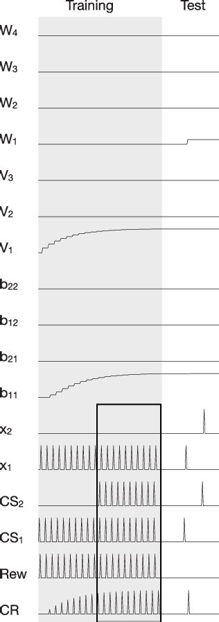 Attentional Blocking The Frame Marks The Compound Conditioning Trials Download Scientific