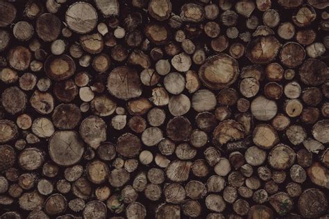 Learn Algorithmic Trading And Python Investopedia Recommended Course